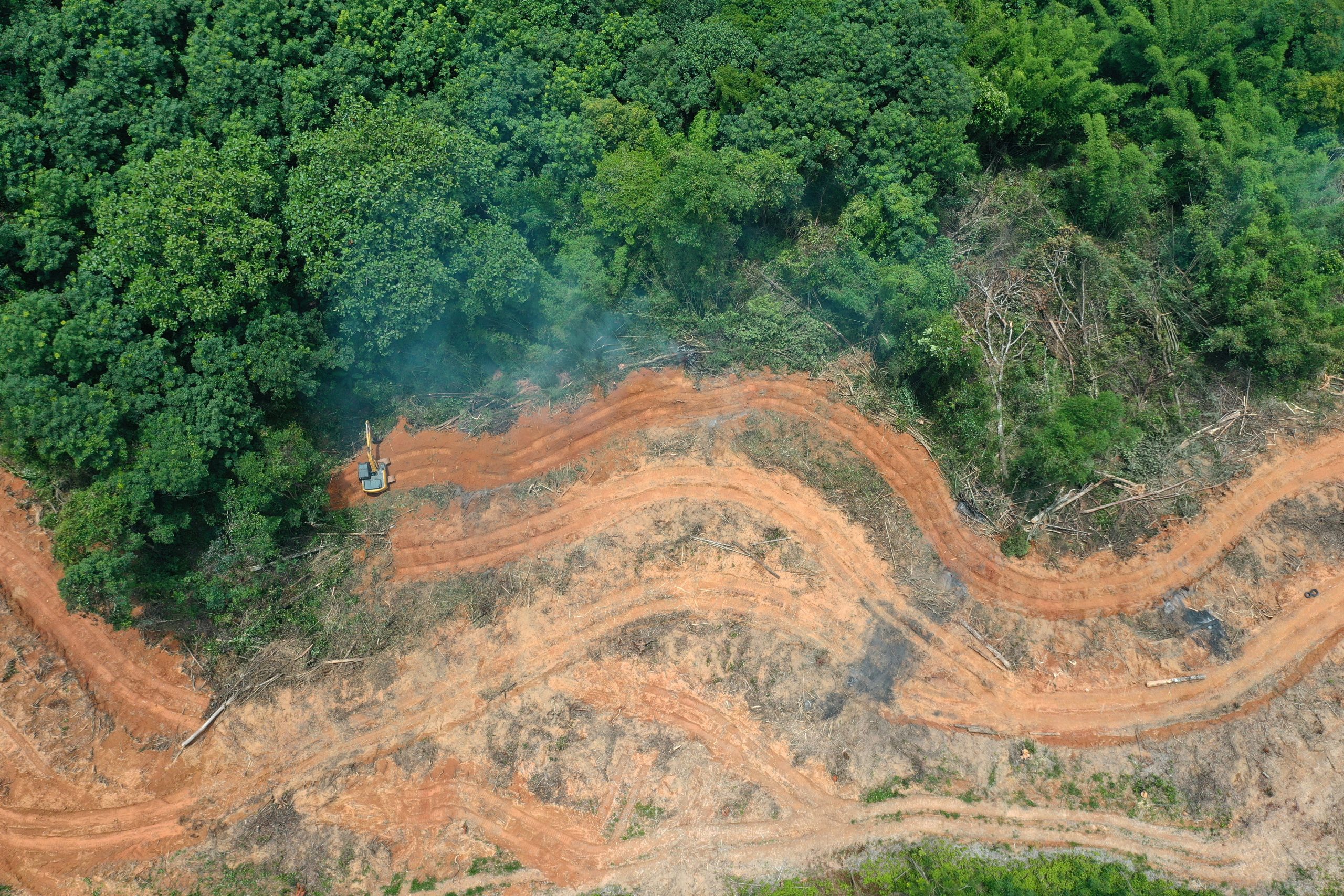 Only 2% of companies earn top marks in CDP’s 2024 environmental ratings ...