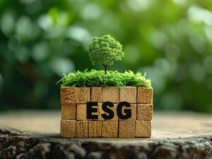 Verra introduces new cookstove emission calculation methodology — ESG Post