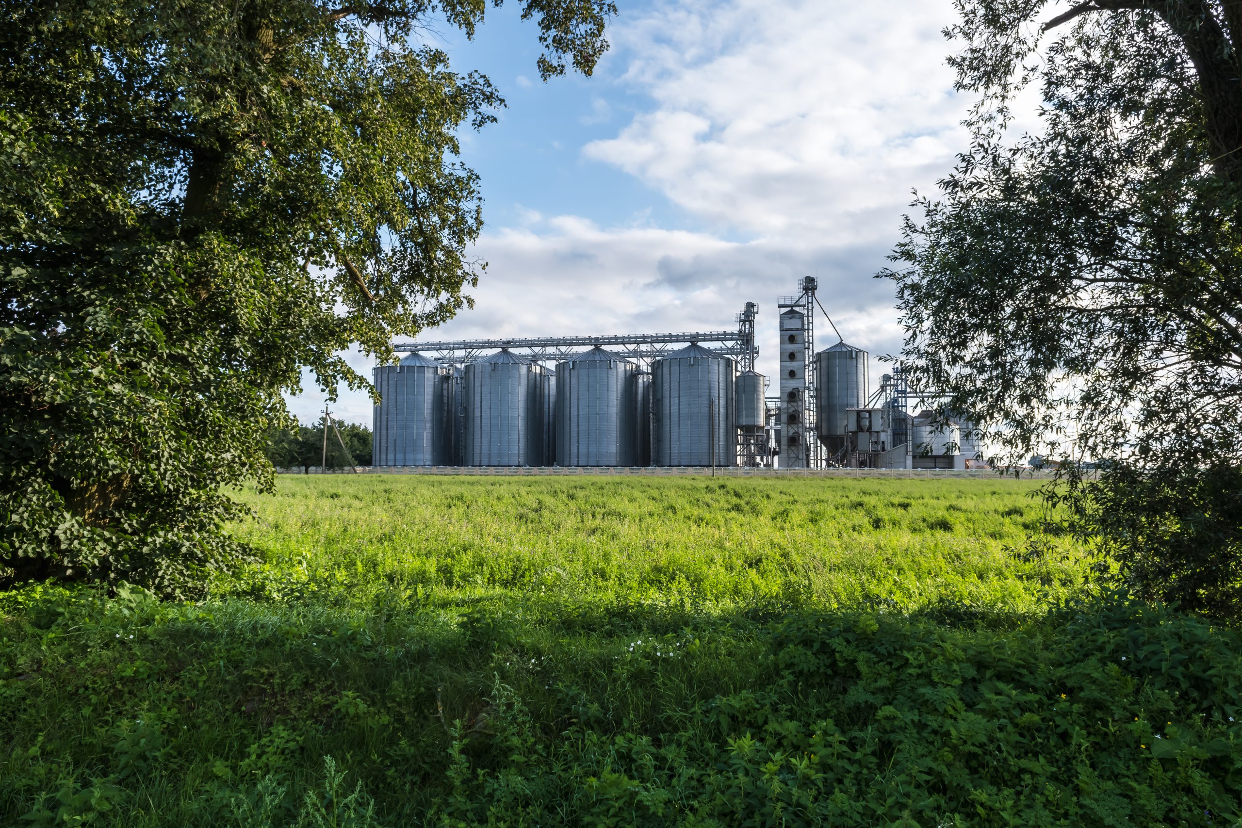 Aymium secures $210M for world’s first biocarbon plant — ESG Post Post ...