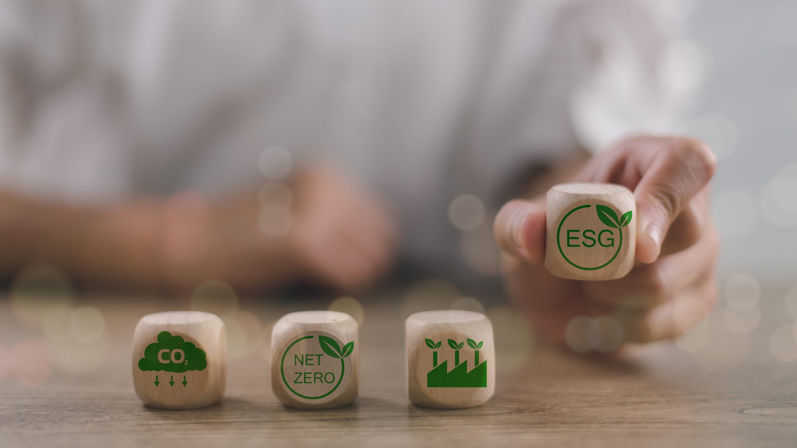 The ‘Principles’ release new guidance for green enabling projects — ESG ...