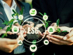 Verra Releases Provisional Deforestation Risk Maps