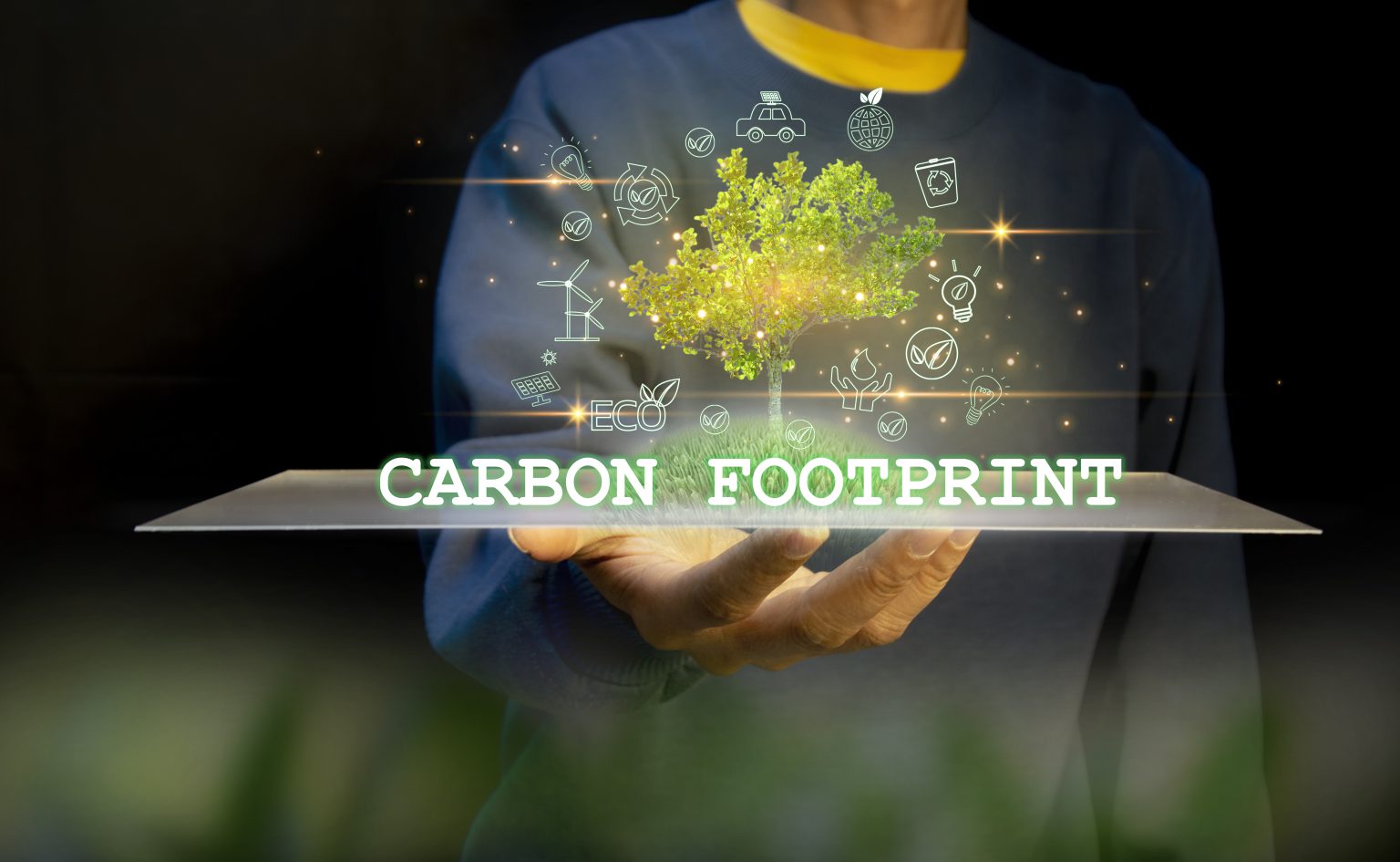 Eight companies win Malaysia’s first nature-based carbon credits ...