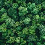 Bain buys 9,000 tonnes of DAC-based carbon removal from 1PointFive ...