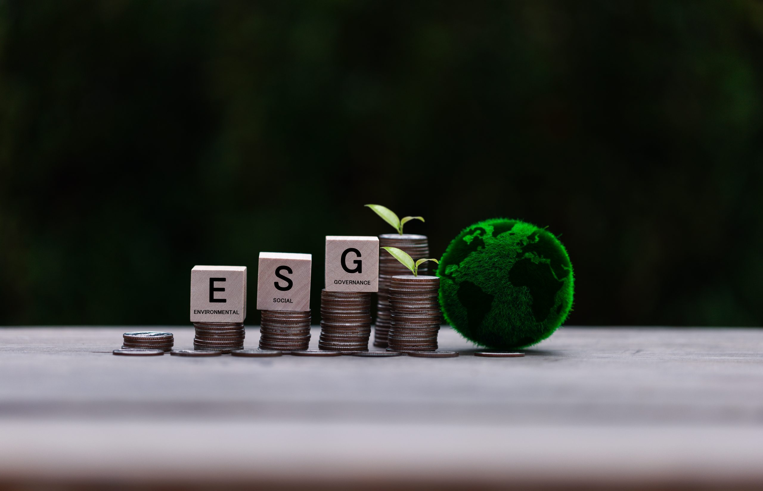 Sustainable fund inflows halve in 2024 as ESG faces global backlash ...