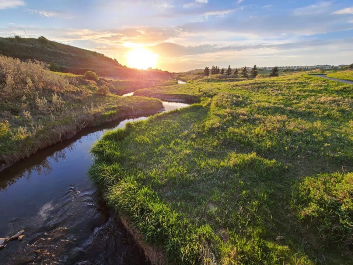 Verra registers first biochar project under VCS programme — ESG Post