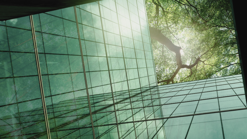 Verra expands carbon capture methodology to include BECCS under VCS ...