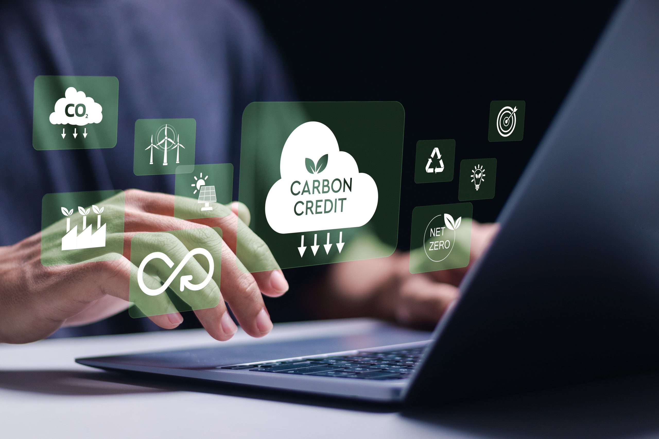 Carbon Credit Developers Urge SBTi to Reassess Offsets