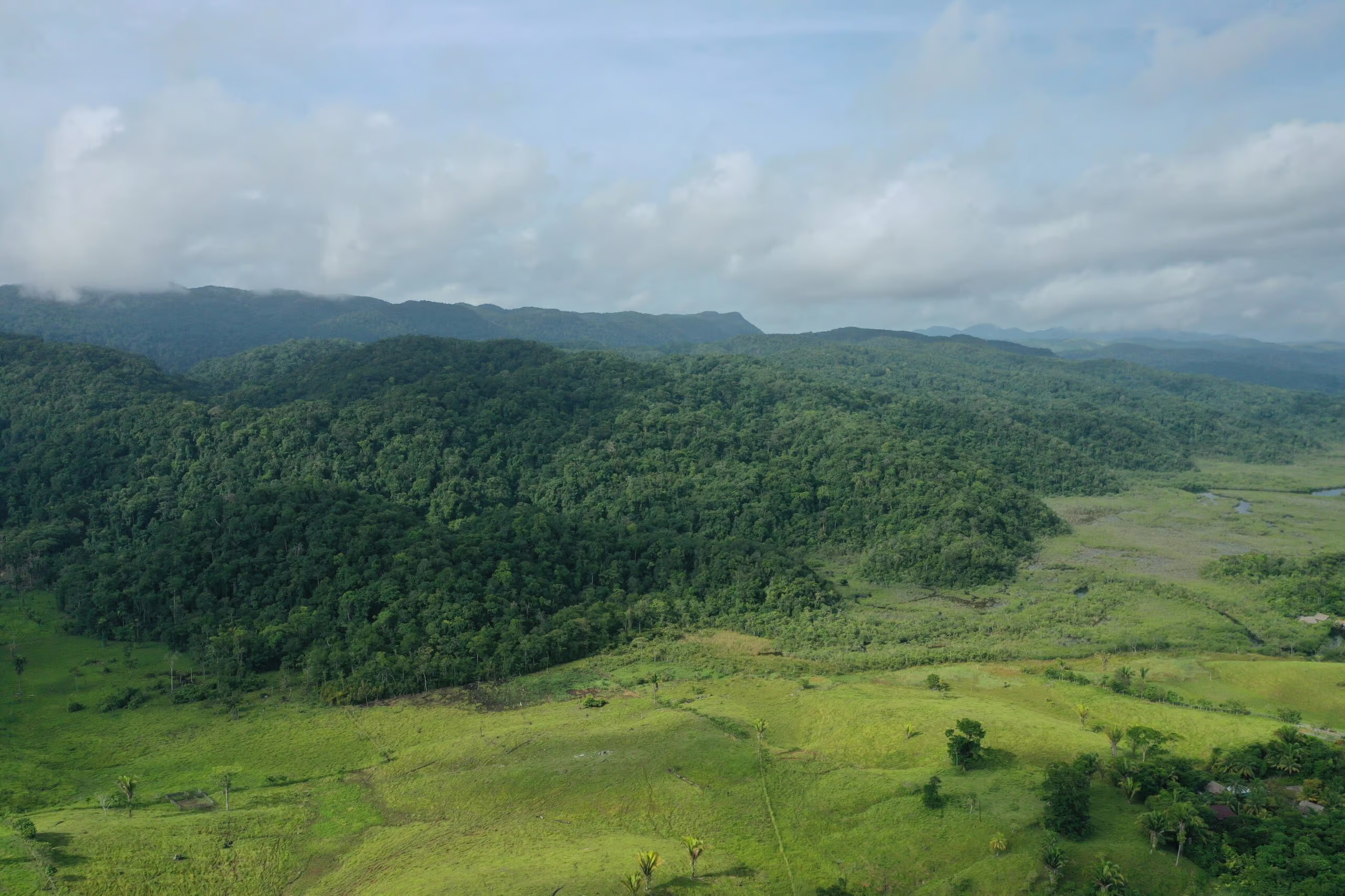 Verra Releases Provisional Deforestation Risk Maps