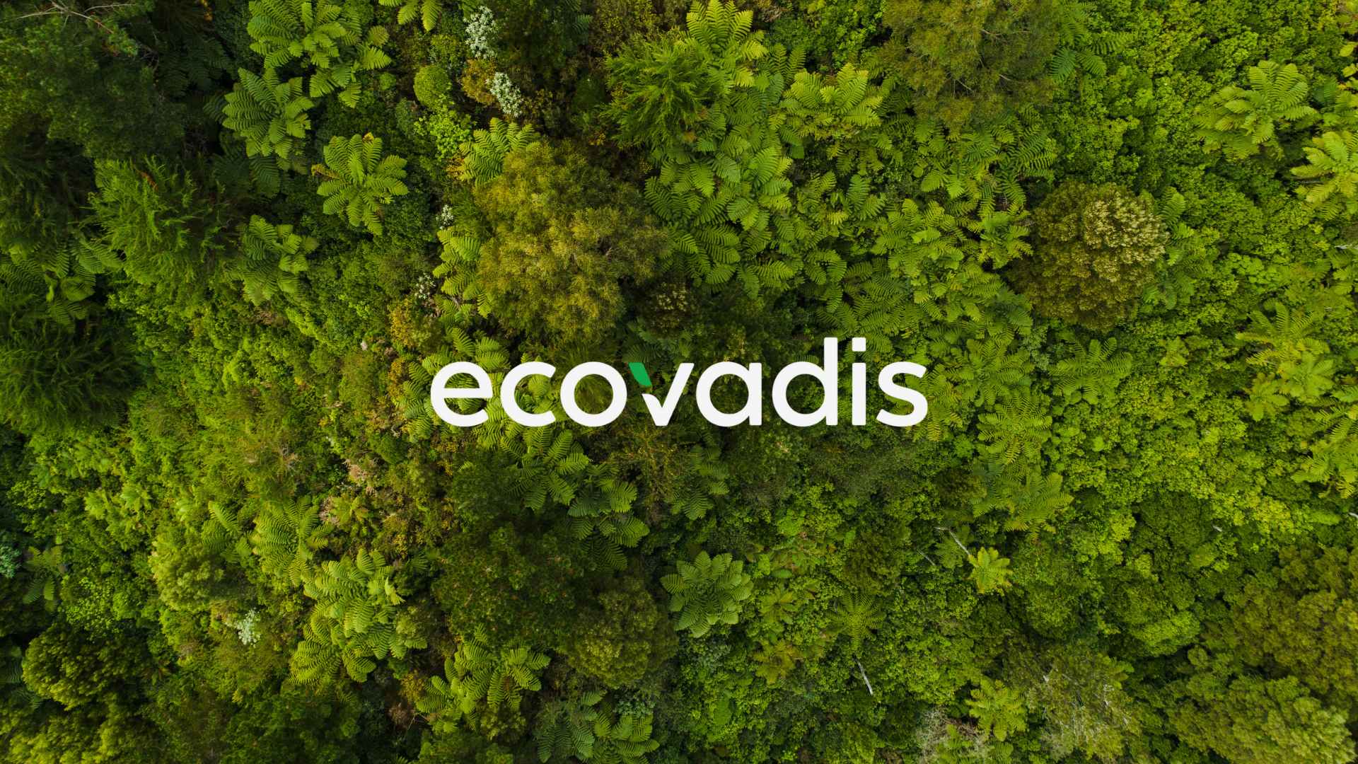 EcoVadis introduces CSRD questionnaire to support corporate ...