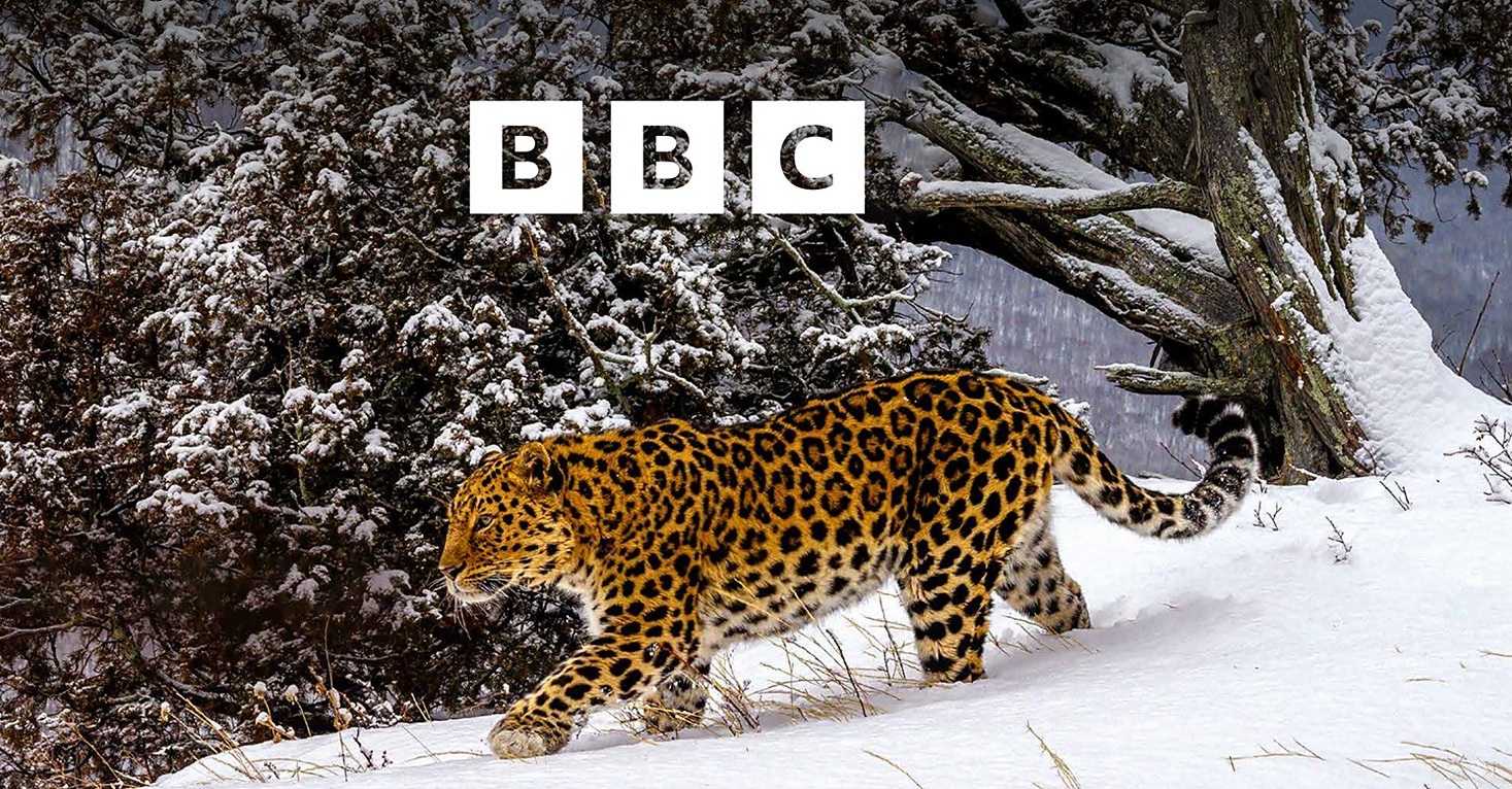 Bbc Unveils Climate Transition Plan To Achieve Net Zero By 2050 Esg