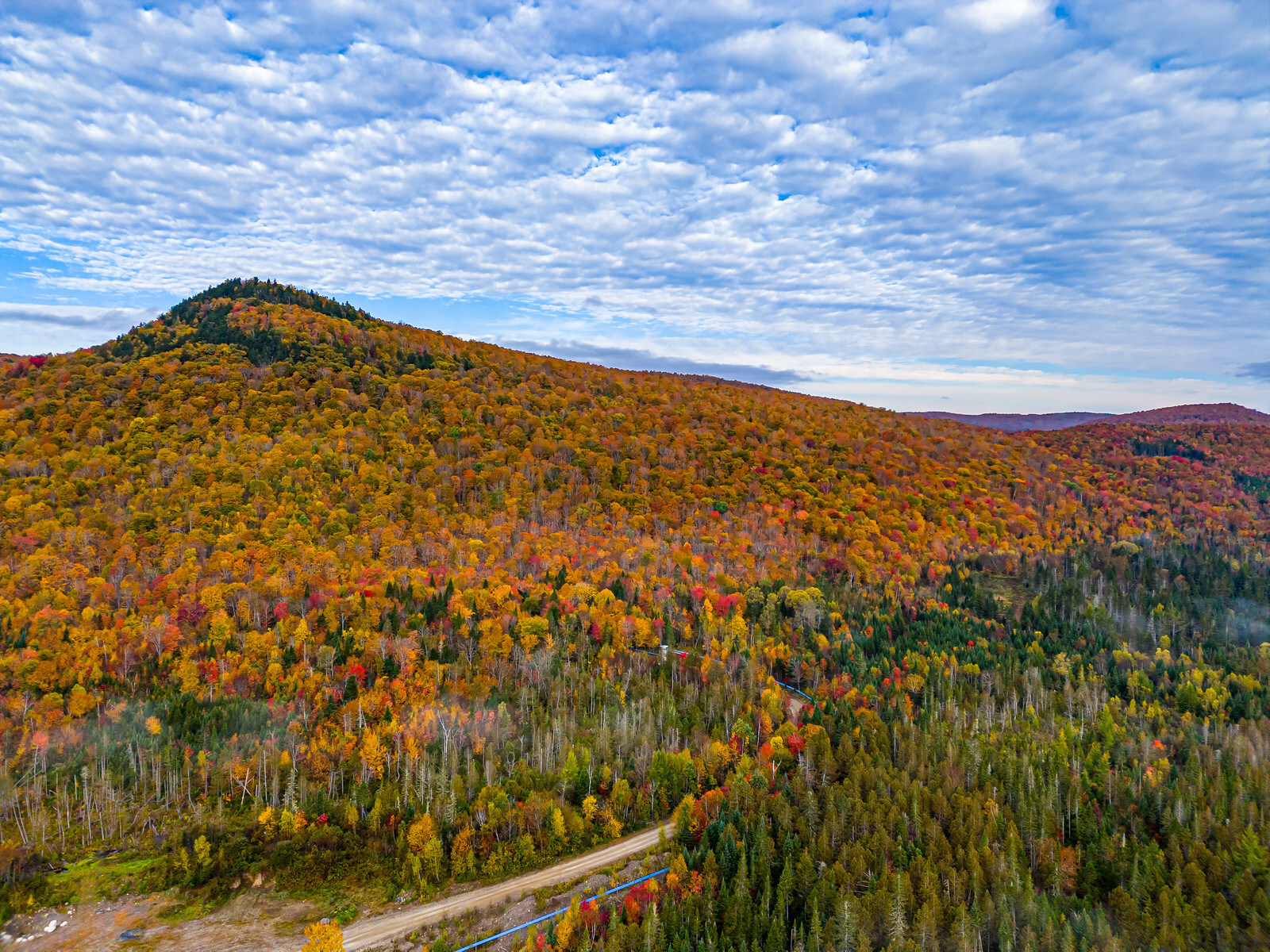 Chestnut Carbon Completes First Sale of IMF Credits