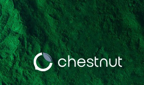 Chestnut Carbon secures $160 million funding for afforestation ...