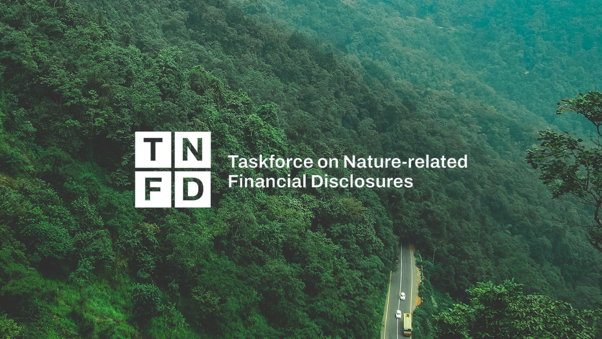 TNFD’s New Training Tools on Nature-related Financial Disclosures