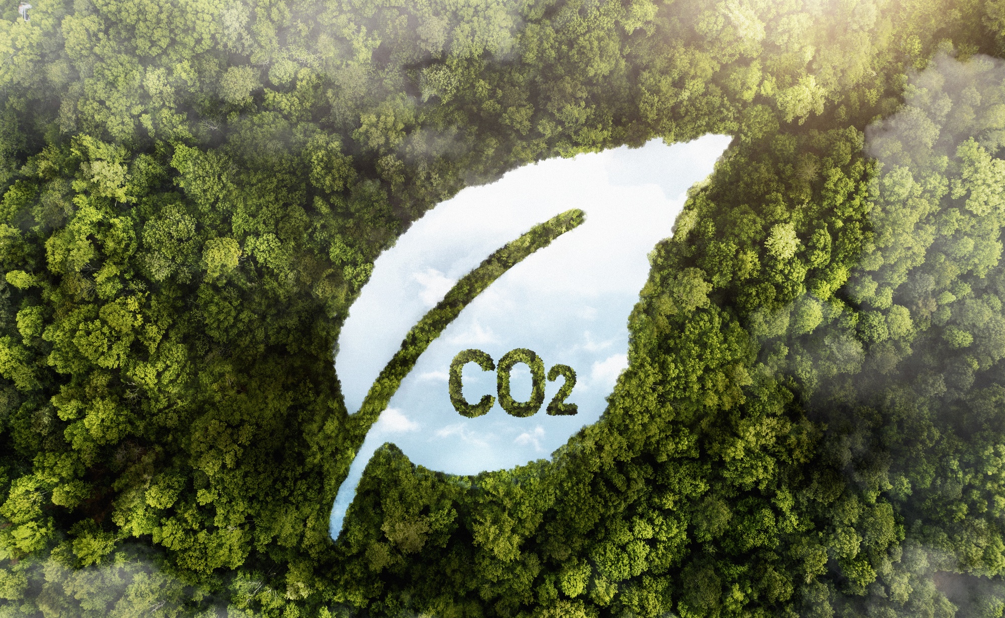 Global carbon pricing revenues surpass $100 billion in 2024, world bank ...