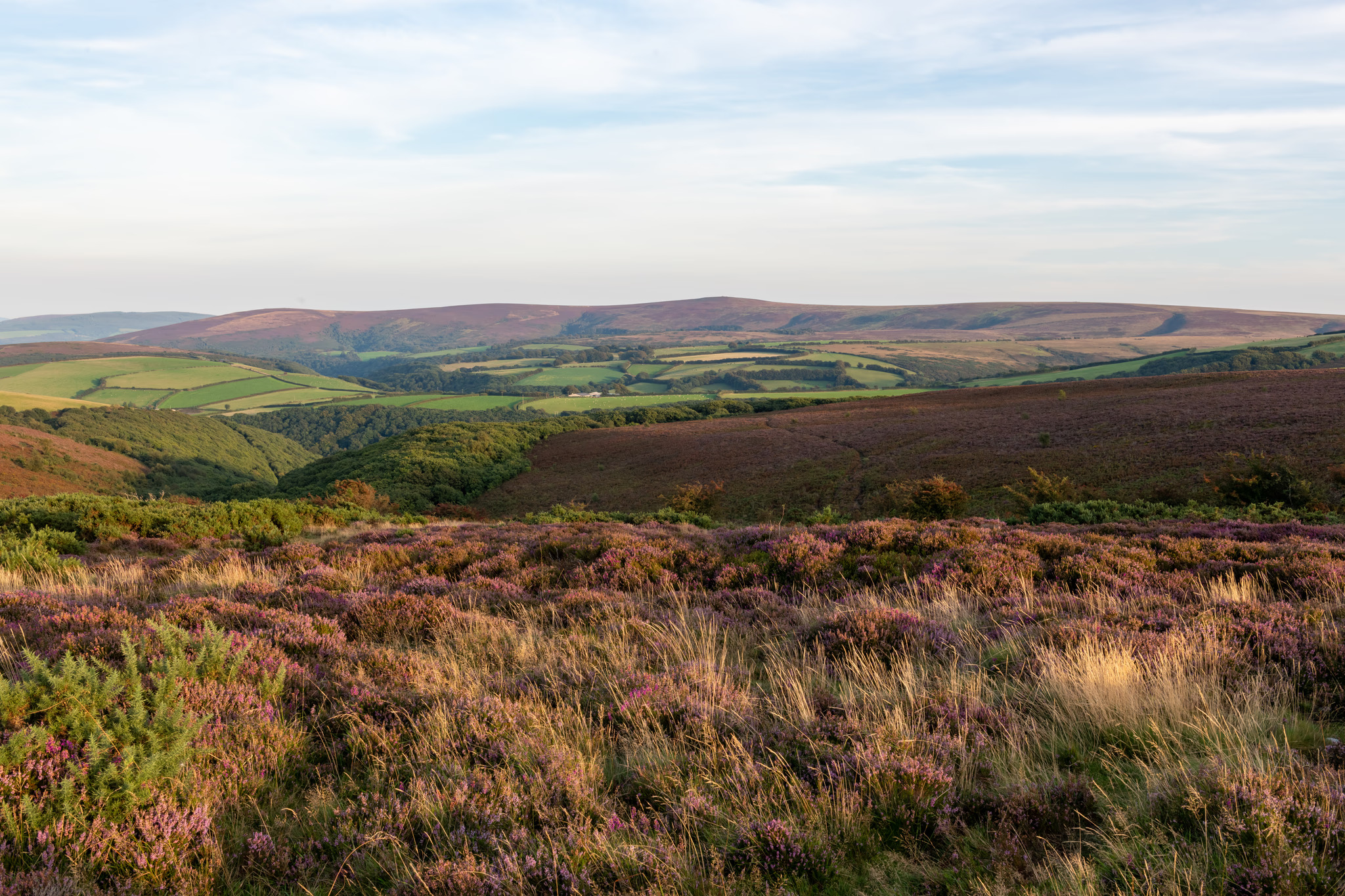 Gevo issues 500,000 carbon removal certificates — ESG Post