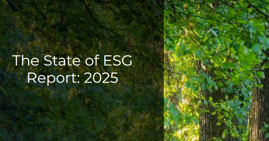 Private equity maintains ESG focus despite political pressures: Report ...