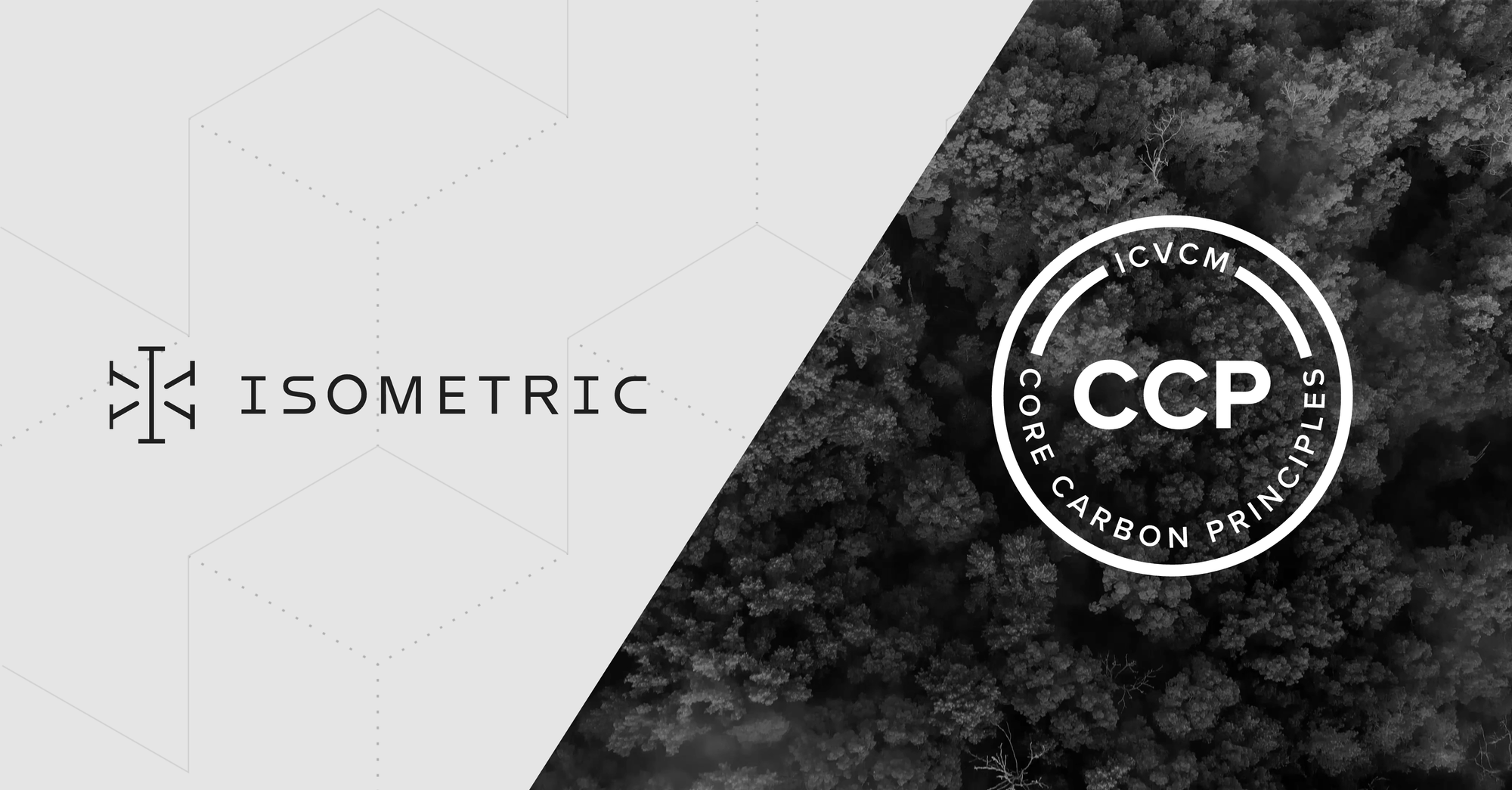 Isometric’s Reforestation Protocol secures ICVCM Core Carbon Principles ...