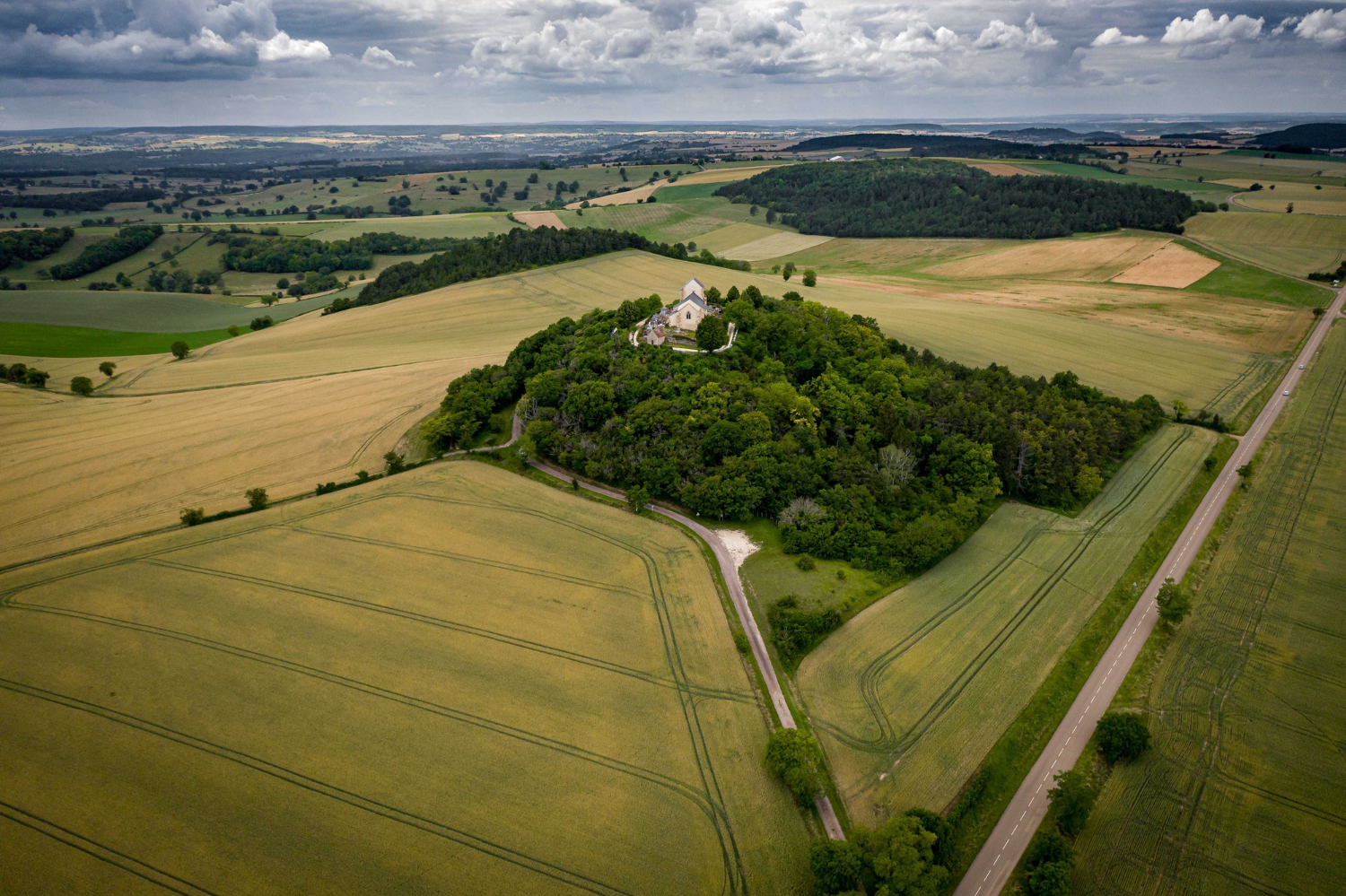 SBTi unveils updated land-sector climate guidance to accelerate no ...