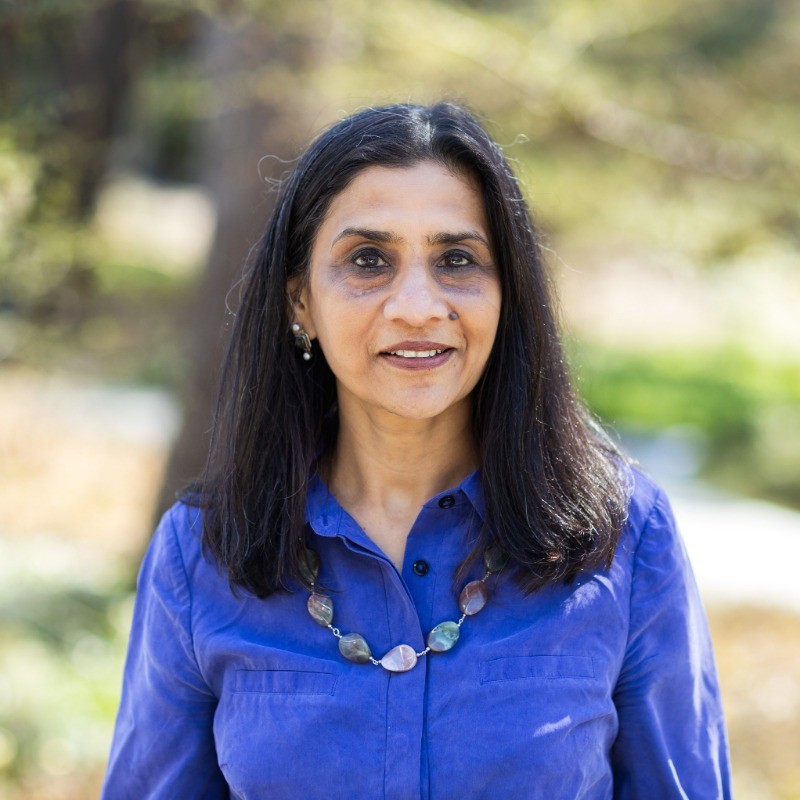 Standard Chartered Foundation appoints Nalini Tarakeshwar as global ...